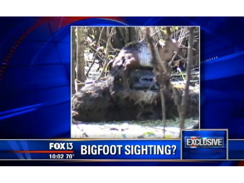 'Bigfoot' Sighted By Tampa Fisherman? | Tampa, FL Patch