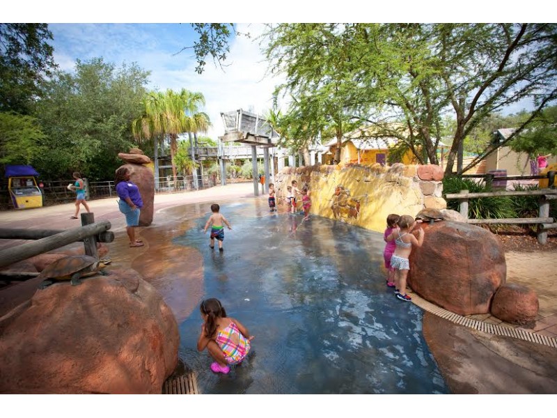 Facelift Coming for Lowry Park Zoo's Wallaroo Station | Tampa, FL Patch