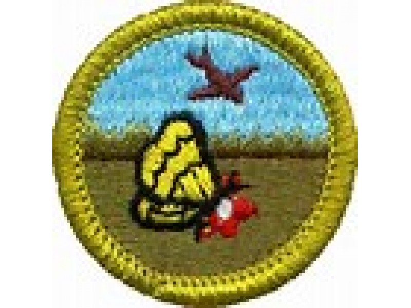 Nature Merit Badge for Scouts - Doylestown, PA Patch