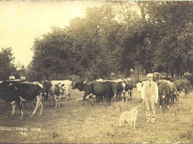 The Legend of the Ghost Cow | South Brunswick, NJ Patch