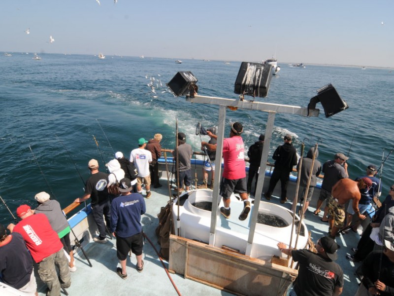 The Barracuda Bite—Including 6 Pending World-Record Catches | Newport ...
