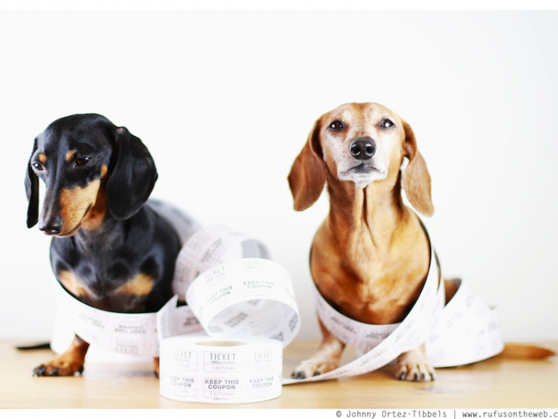 Wiener Dog Wednesday, On-line Raffle | Studio City, CA Patch