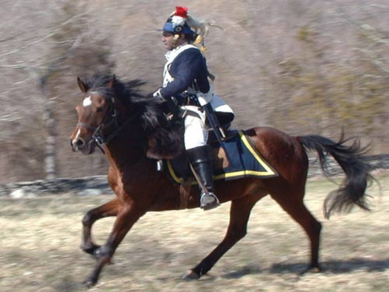 The History of 'SHELDON'S HORSE' The Second Continental Light Dragoons presented by Eric ...