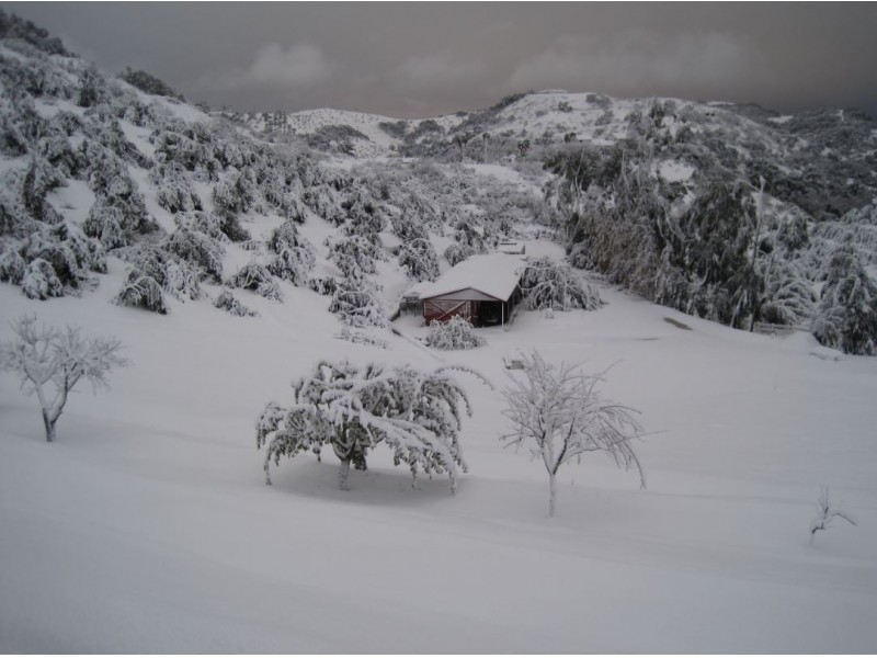 Snow! Temecula Gets Hit by Cold Storm, Rare Snowfall | Temecula, CA Patch