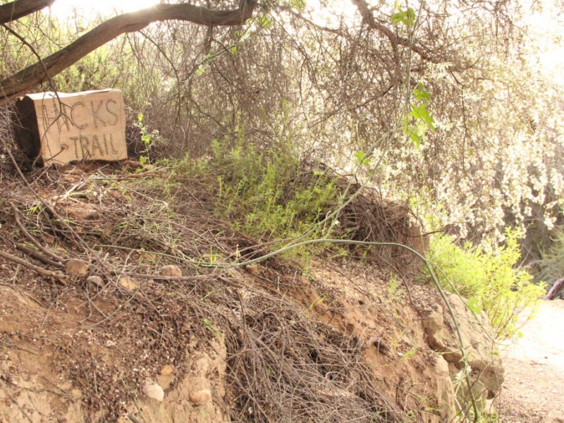 Malibu Mourns Loss of Stephen Hicks | Malibu, CA Patch