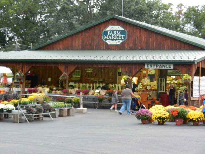 Linvilla Orchards has Four Seasons of Food and Fun | Media, PA Patch