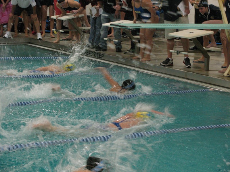 Swim Team Enjoys Thrilling Senior Night | Brookfield, CT Patch