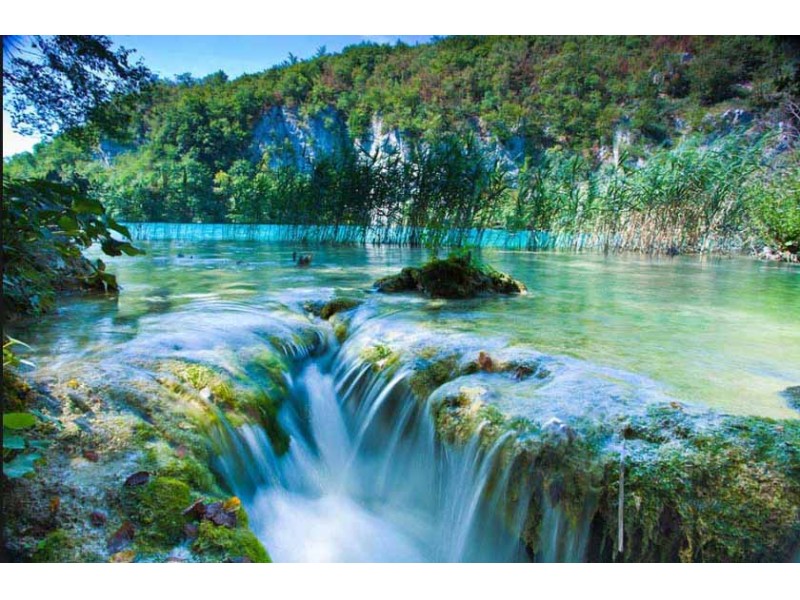 Research on Healing Waters | Mill Valley, CA Patch