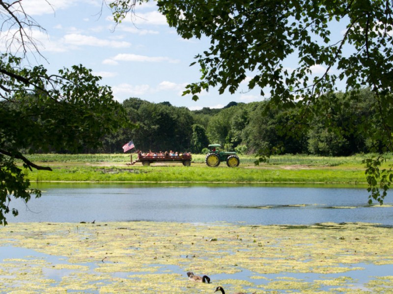 Family Fun, Farm Style at Connors Farm | Danvers, MA Patch