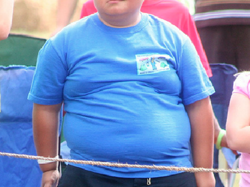 Bridgehampton Among Long Island's 15 Most Obese School Districts ...