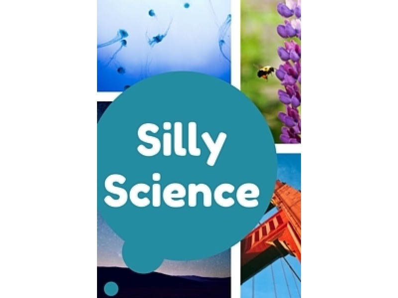 Preschool Silly Science Norton MA Patch preschool-silly-science-norton-ma-patch