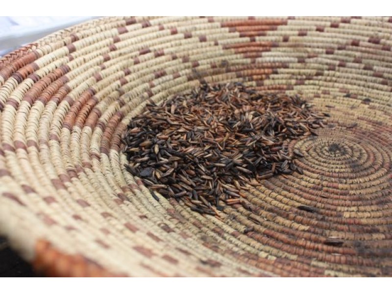 In Santa Cruz: Traditional Ohlone Food Workshop | Santa Cruz, CA Patch