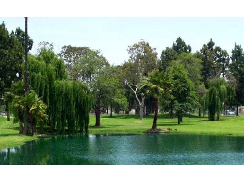 The Best Parks for Picnics in Long Beach CA | Long Beach, CA Patch