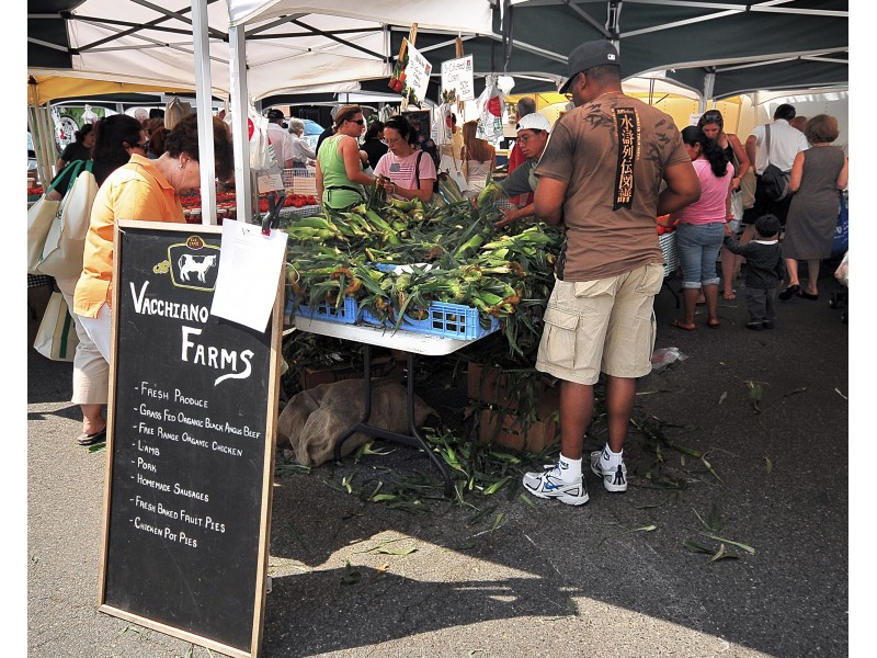 Vacchiano Farm - Alchetron, The Free Social Encyclopedia