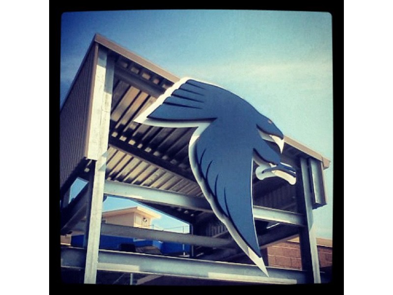 Whitnall Falcon Football Review: From a Fan's Perspective | Greenfield ...