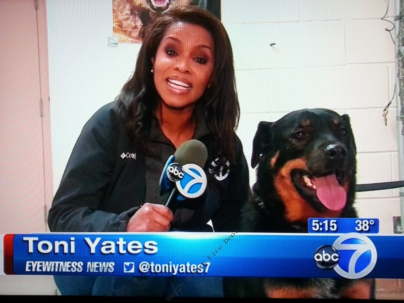 Toni Yates ABC 7 Eyewitness News New Jersey Reporter | Newark, NJ Patch
