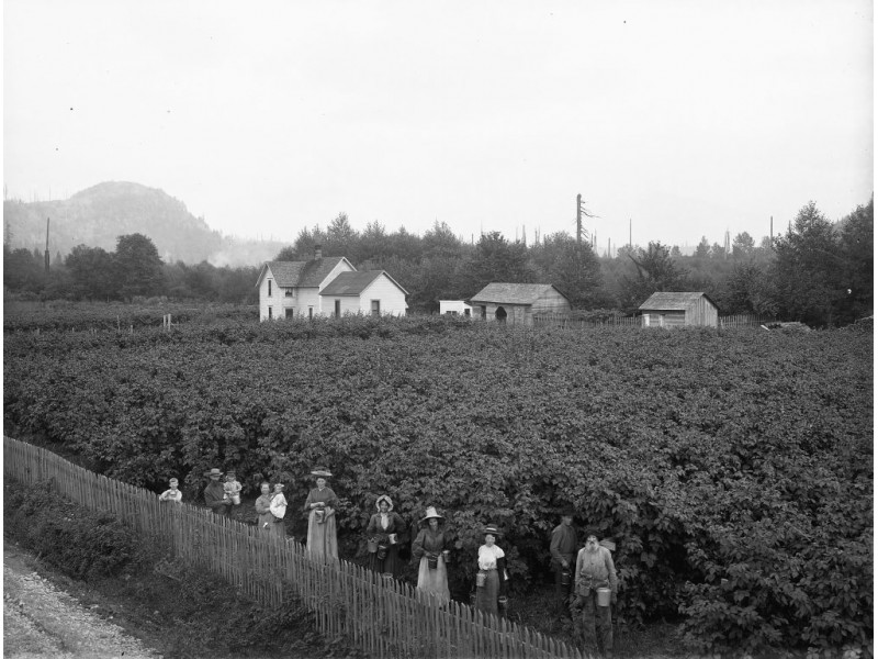 Early Enumclaw's Neighbors | Enumclaw, WA Patch