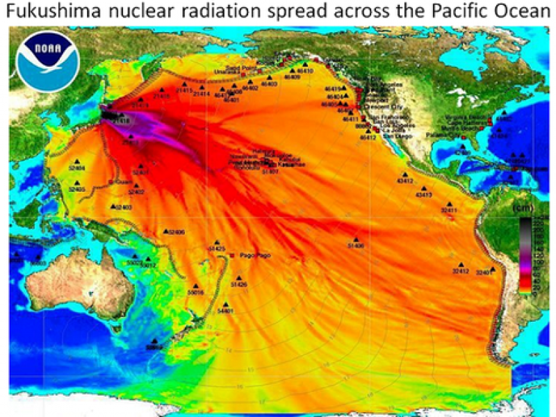 Japan Radiation Map 2013