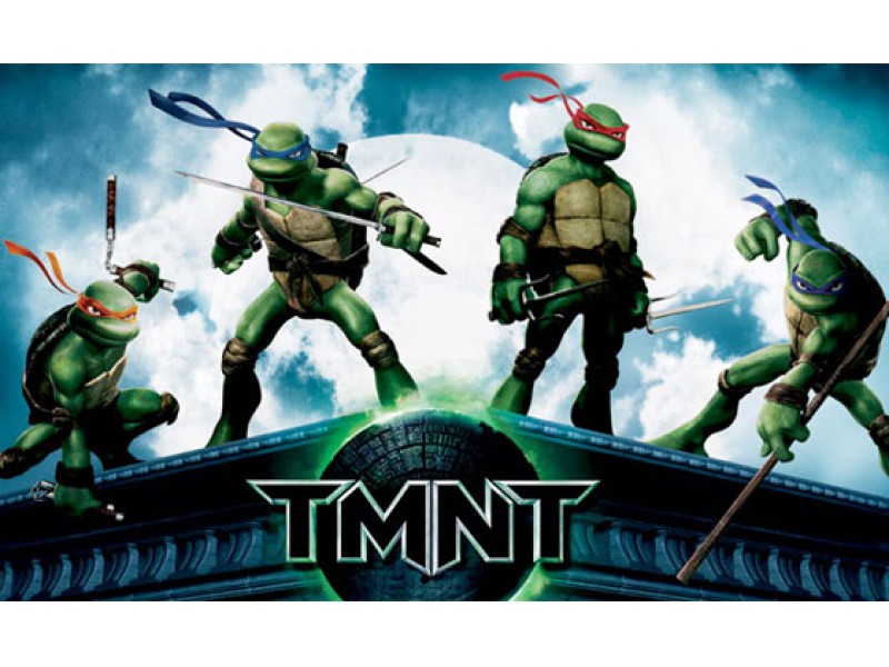 Mother Son Night 2015 - Teenage Mutant Ninja Turtles | Grayslake, IL Patch