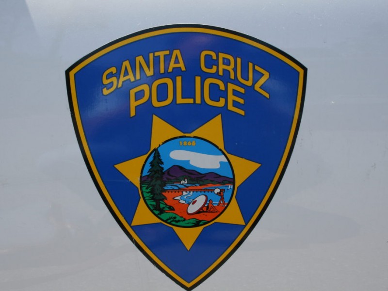 Top 10 Types of Police Calls for Service | Santa Cruz, CA Patch