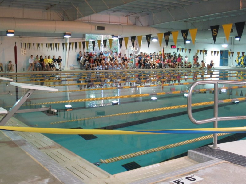 Happy Belated 50th Anniversary–Suburban Swim Center | Marple Newtown ...