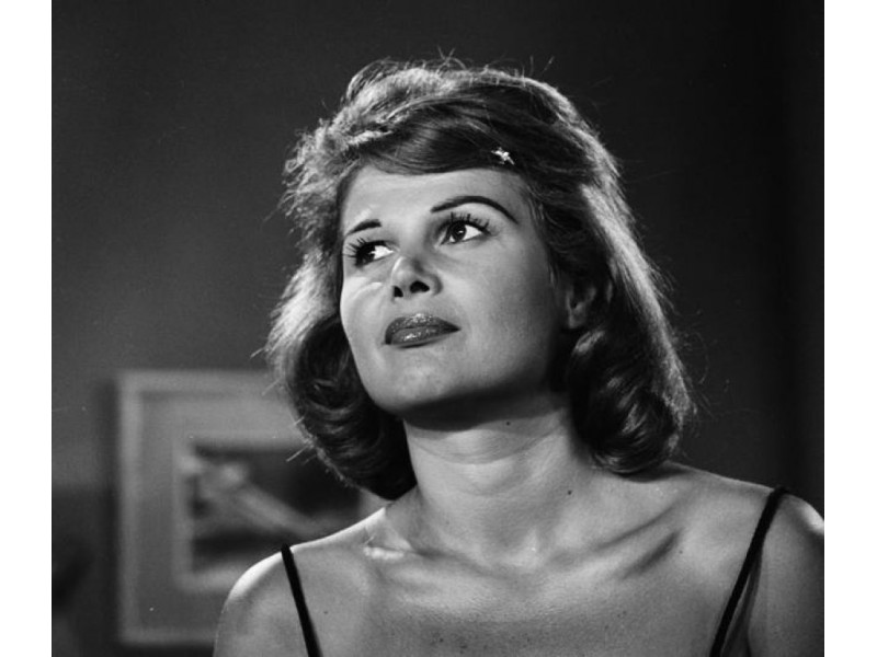 Gloria Pall: Voluptua to the End [VIDEOs & PHOTOs] | Studio City, CA Patch