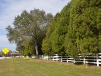 Matt Geiger's Former East Lake Mega Mansion Getting a Facelift | Tarpon ...