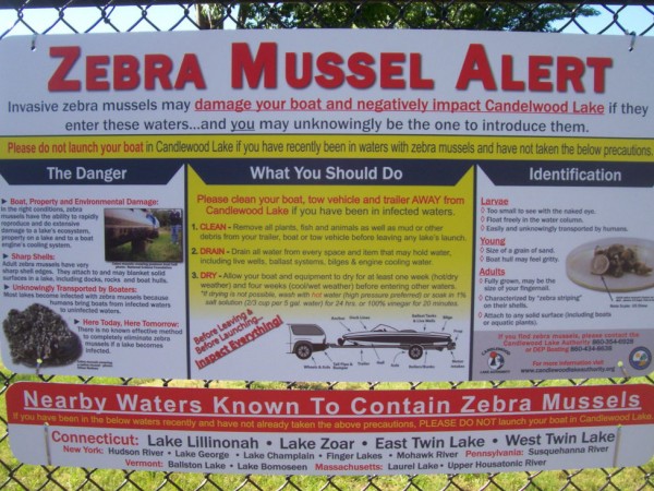 CLA posts signs warning of zebra mussel threat - Brookfield, CT Patch