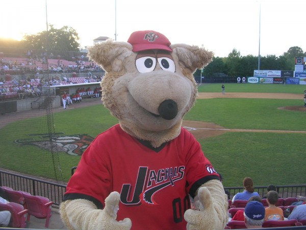 NJ Jackals Baseball Game - Montclair, NJ Patch