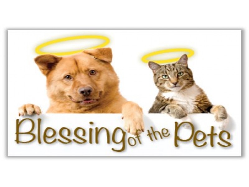 Blessing of the Pets | Westford, MA Patch