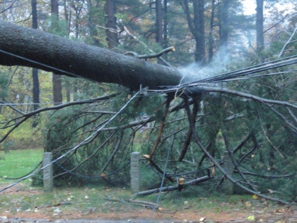 Trees Falling on Power Lines, Property - Natick, MA Patch
