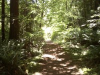 Wilderness Hiking in Gig Harbor | Gig Harbor, WA Patch