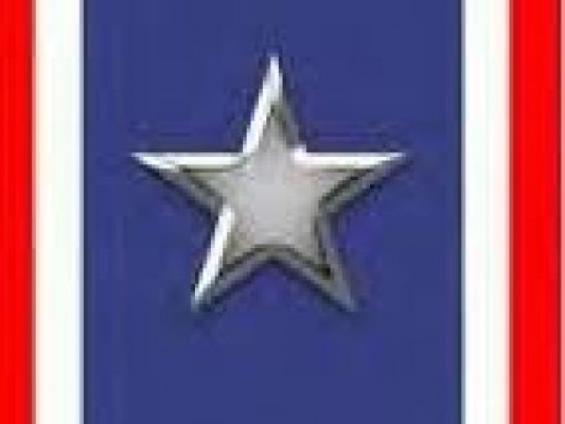 Silver Star Banner Day | Joliet, IL Patch