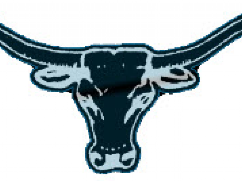 Wanted: Tanners Fans To Share Photos, Scores on Peabody Patch | Peabody ...