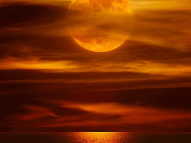 New Peter Lik Photo Unveiled | La Jolla, CA Patch