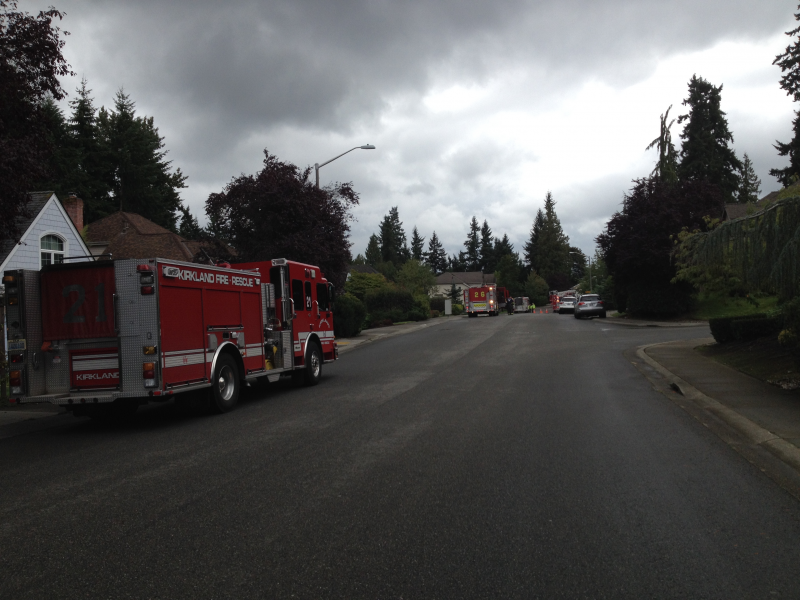 Bellevue Fire, Other Agencies Assist with Redmond Blaze | Bellevue, WA ...