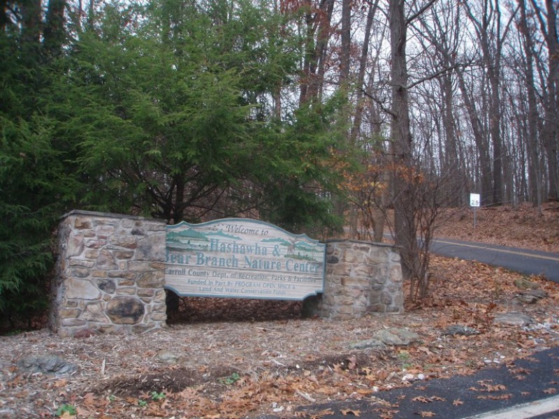 Exploring Issues in Eldersburg: Is Camp Hashawha Safe for Children ...