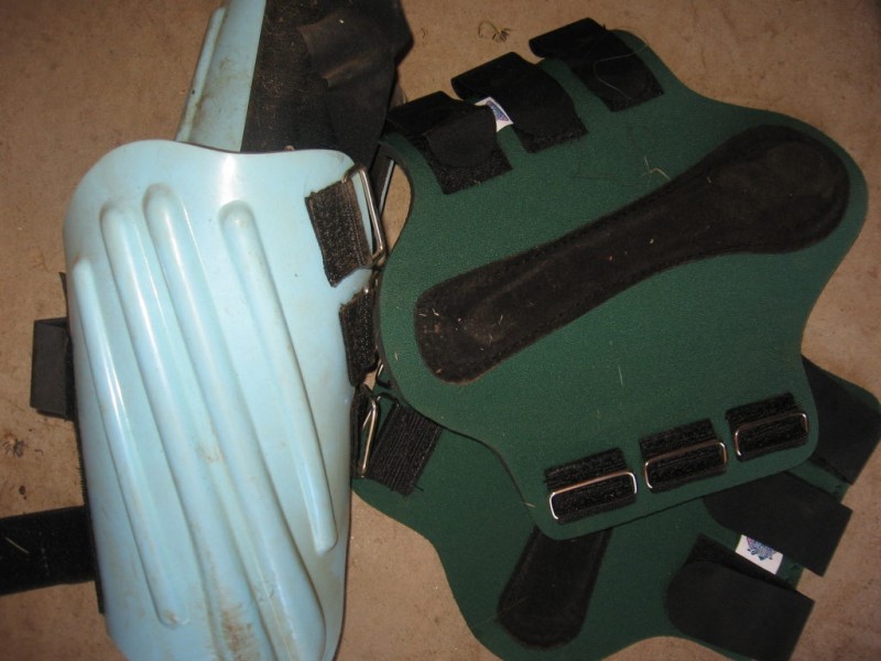 Rain Rot: Common Skin Condition Contagious, but Easy to Treat | Ramona ...