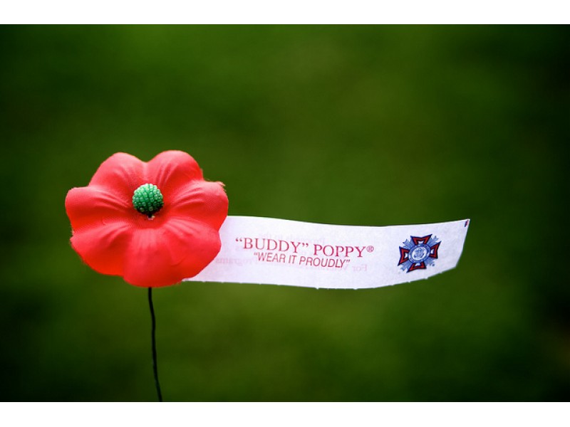 Plymouth VFW Post Distributing Remembrance Poppies This Week | Plymouth ...