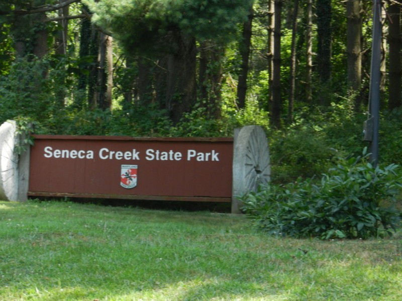 What Was There Before Seneca Creek State Park? | Germantown, MD Patch
