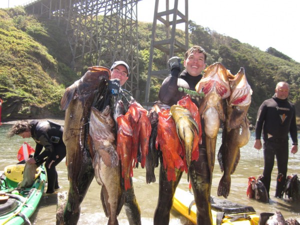 Half Moon Bay Spearfisherman Lands World Record For 37-Pound Lingcod ...