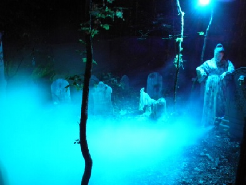 Enter the Haunted Forest -- If You Dare! | Buford, GA Patch