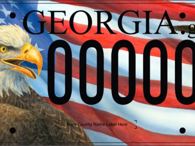 Vote for New Georgia Wildlife Tag Designs | Acworth, GA Patch