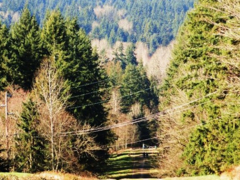 Tolt Pipeline Trail is Made for Strolling and Rolling | Kirkland, WA Patch