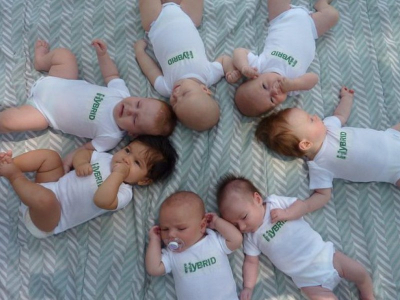GM 'Hybrid Mamas' and Their 'Hybrid Babies' Celebrate First Year ...