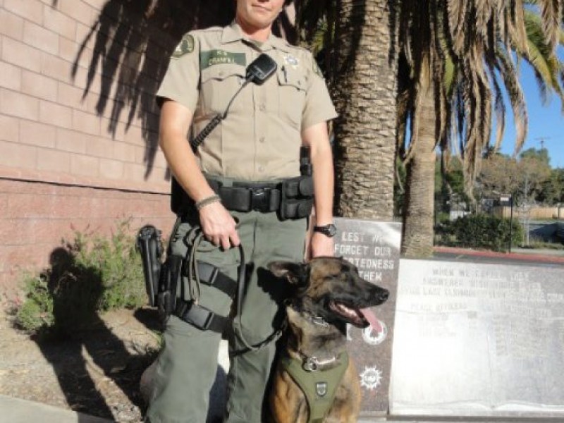 Local Police Dogs Get High Marks During Trials Competition | Lake ...